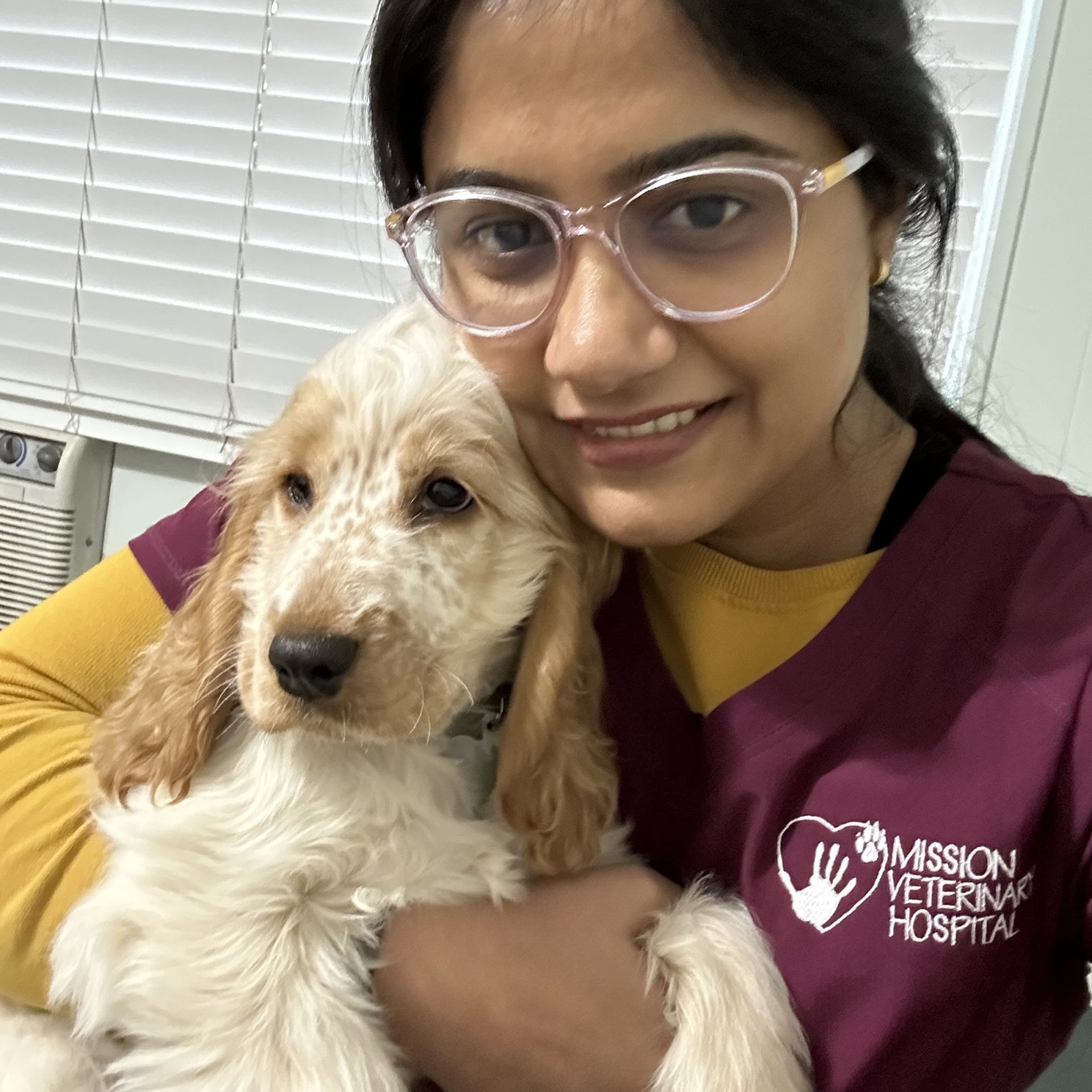 Mission Veterinary Hospital