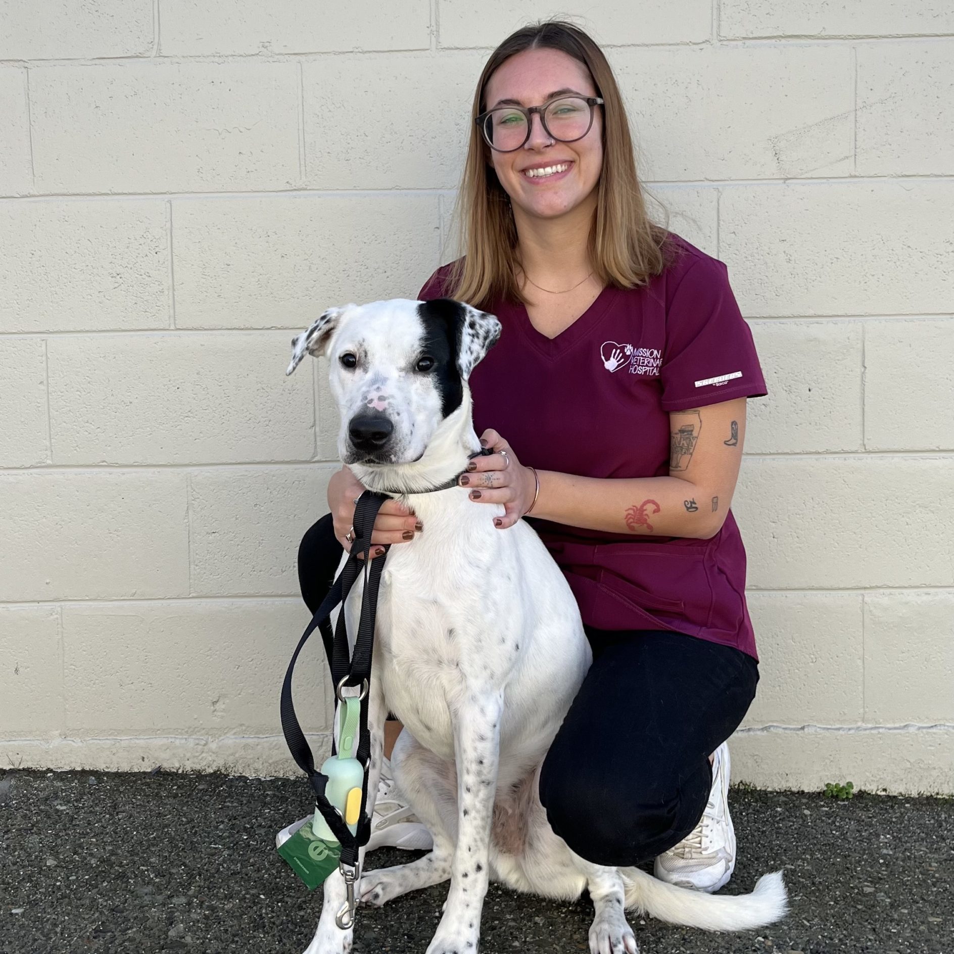 Mission Veterinary Hospital